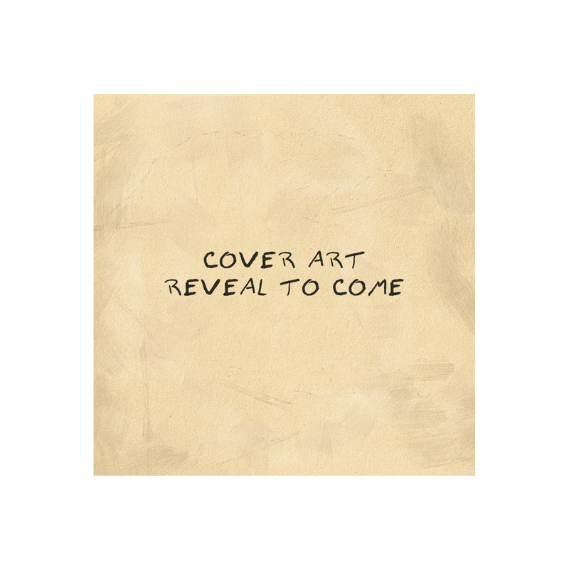 I'm The Problem First Pressing Vinyl - Morgan Wallen Official Store